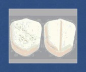 Drug News | Millbrook IDA